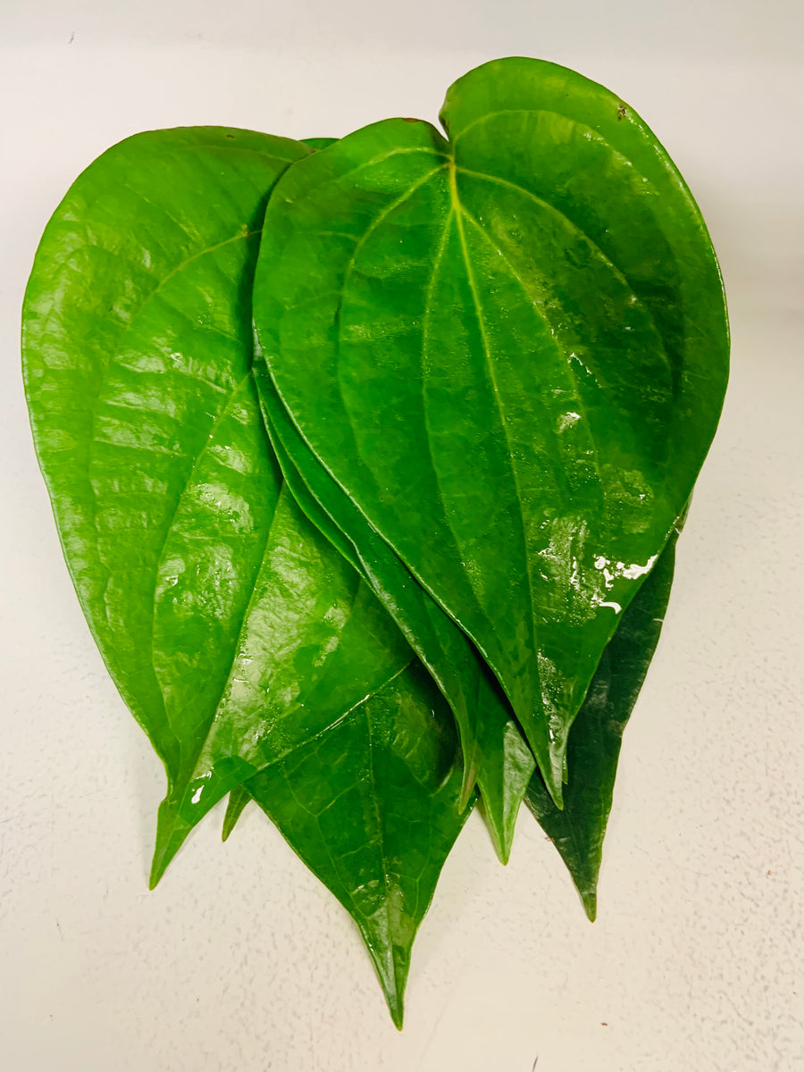 Paan leaf Pack of 10 – Priya’s Spice Bazaar
